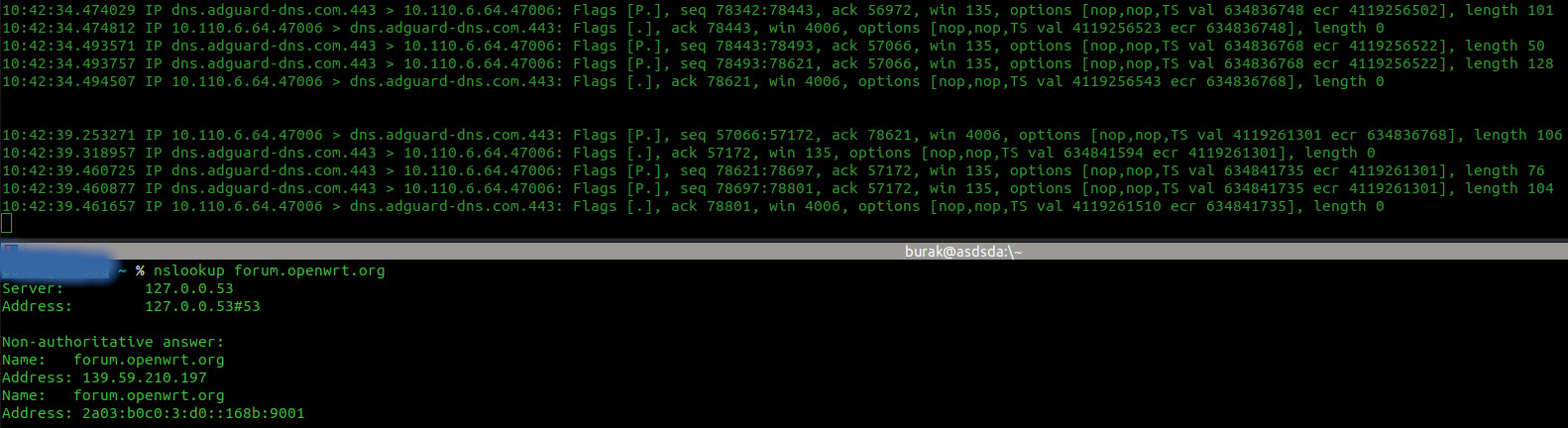 Using Https Dns Proxy And Adblock Together DOH Adblock Installing