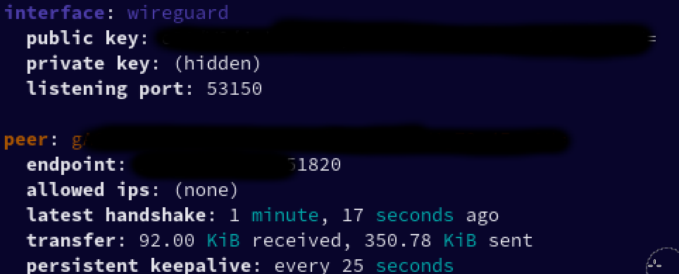 Bypass All Traffic From One Port Through Wireguard Network And